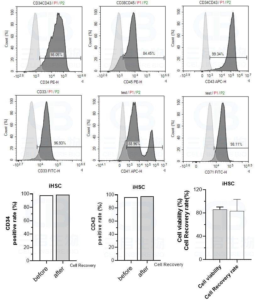 iHSC 细胞 – 三启生物-iPSC创新药研发企业
