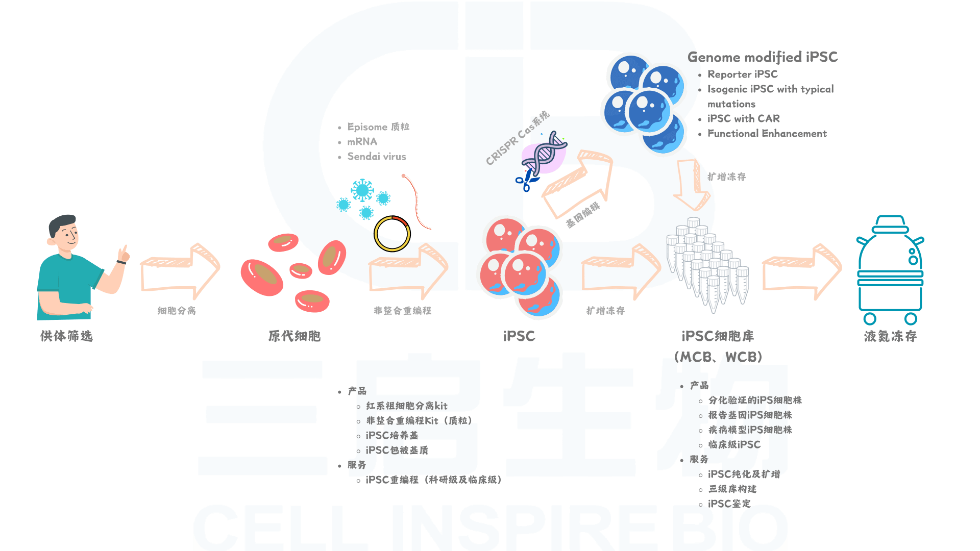技术平台 – 三启生物-iPSC创新药研发企业
